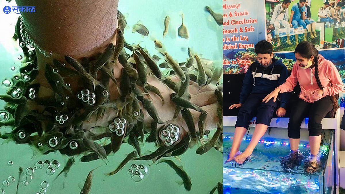 Fish Spa : तुम्हीही फिश स्पा करता का? मग हे वाचाच; या गंभीर आजारांना ...