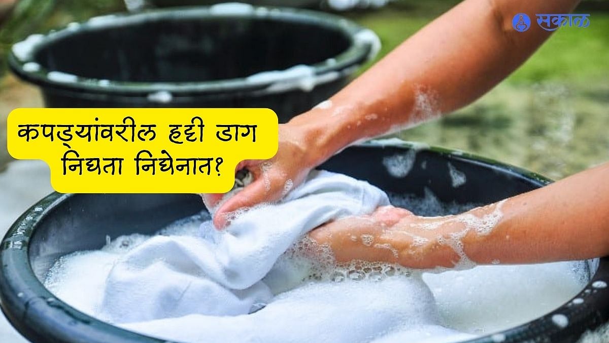 Cloth Stain Removal : कपड्यांवरील हट्टी डाग निघेनात?; उद्या सकाळीच ...