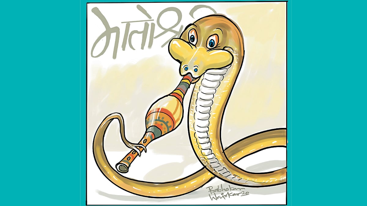 ढिंग टांग : साप की नजरों ने समझा…! editorial article dhing tang british ...