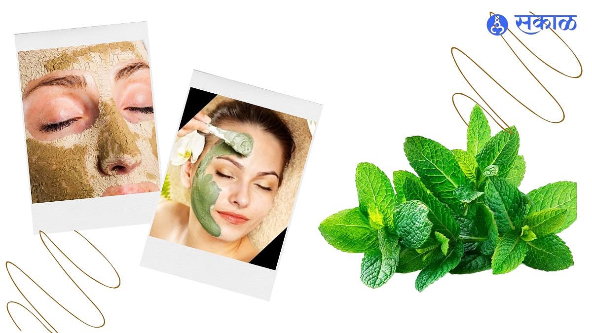 Mint For Face Care : चेहरा म्हणजे तेलाची खाण, पुदिना चेहऱ्यावरचं तेल ...
