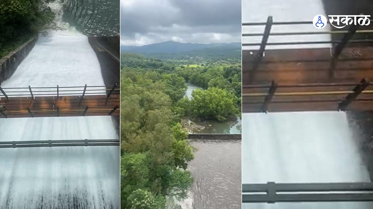 Pune Dam Water Level : चार धरणात मिळून, अर्धा टीएमसीची वाढ