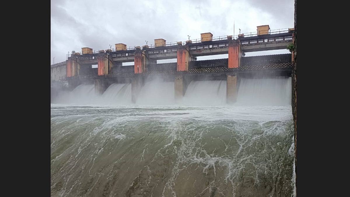 Kukadi Project : कुकडी प्रकल्पांतर्गत धरण पाणलोट क्षेत्रात संततधार पाऊस ...