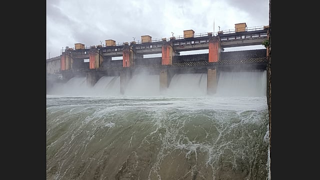 Kukadi Project : कुकडी प्रकल्पांतर्गत धरण पाणलोट क्षेत्रात संततधार पाऊस ...