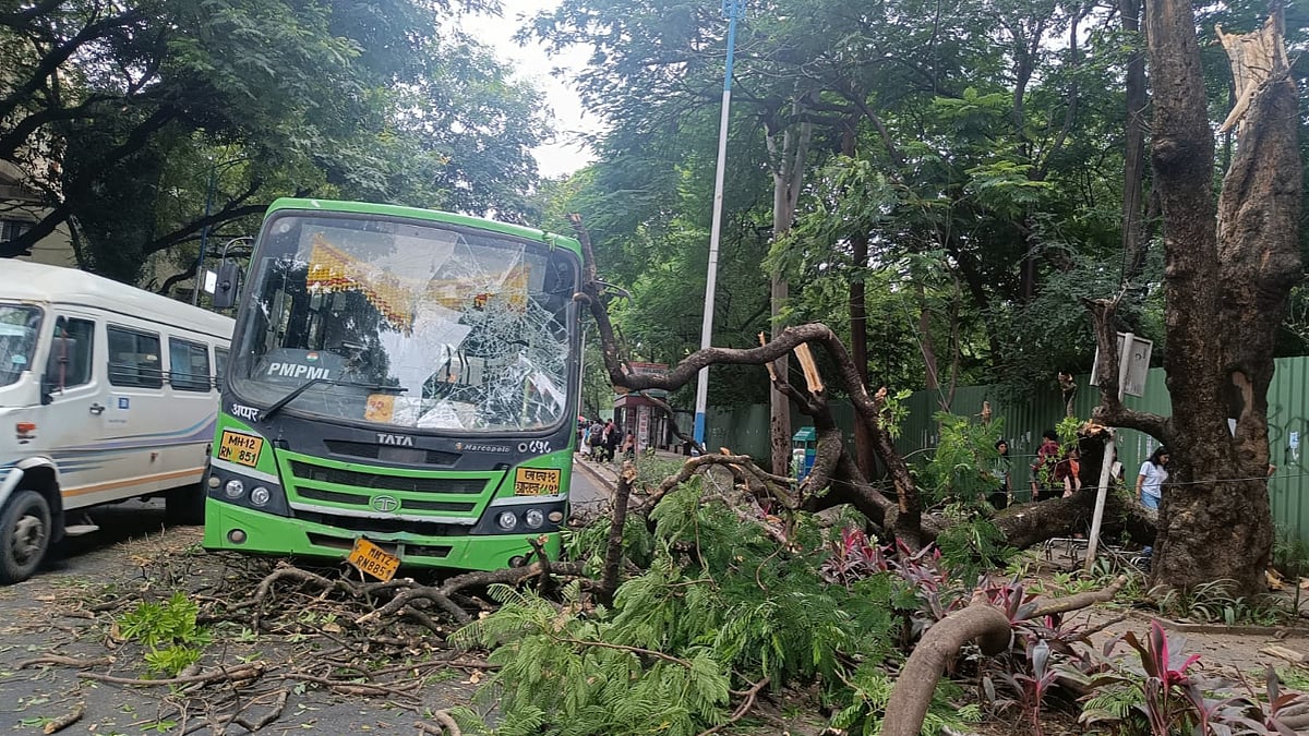 Tree Collapse : फर्ग्युसन रस्त्यावर पीएमपी बसवर झाड कोसळले tree ...