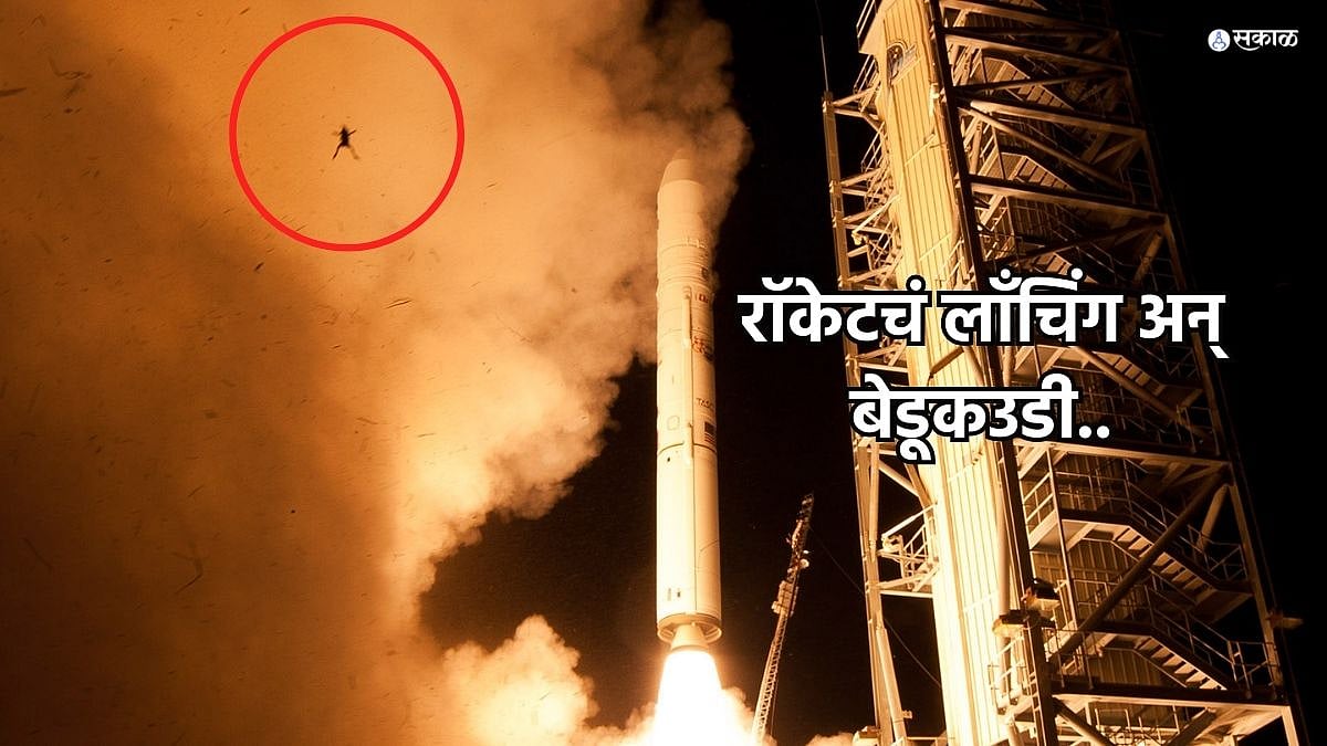 रॉकेट लाँच करताना मध्येच बेडूक आला, अन्... नासाने फोटो शेअर करत ...