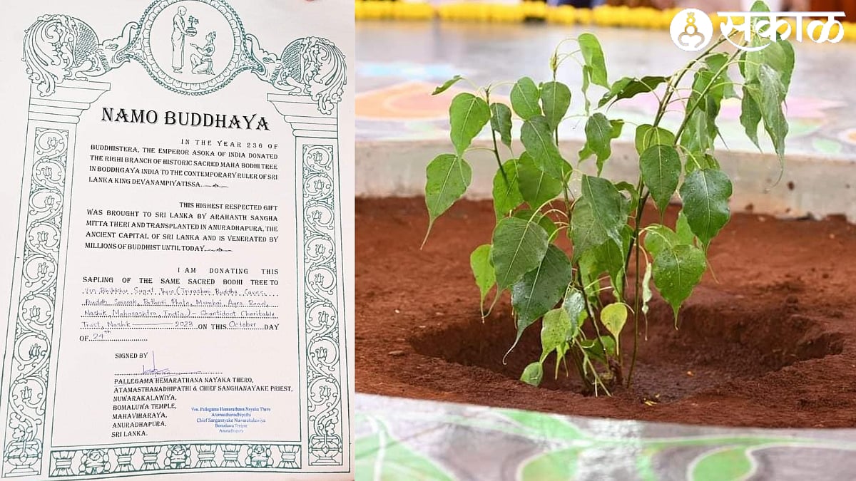 आध्यात्मिक वारशाचा जिवंत करार! अनुराधपूर (श्रीलंका)चे बोधी वृक्ष | Living Covenant of Spiritual ...