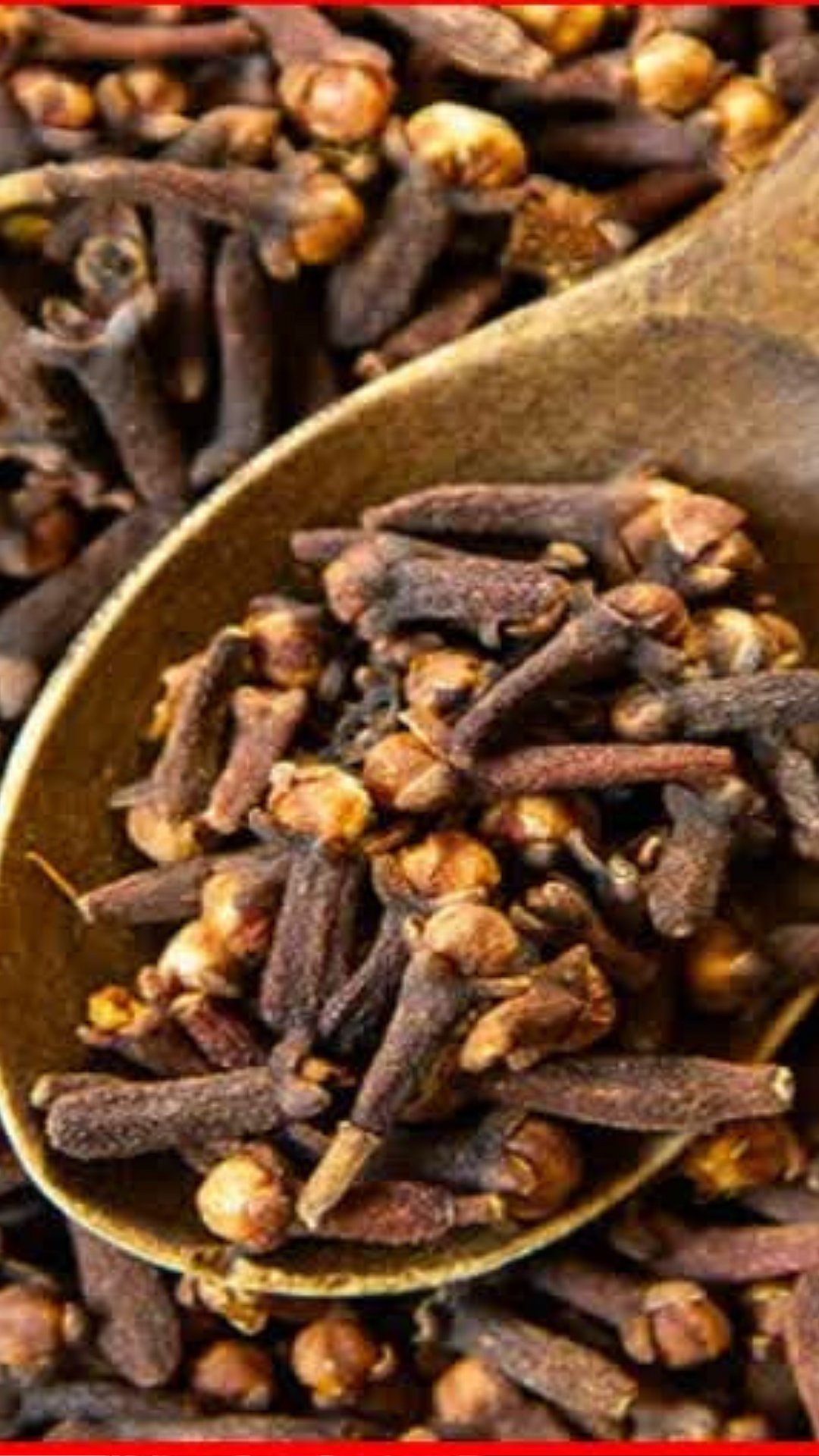 लवंग खाण्याचे फायदे आहेत जबरदस्त