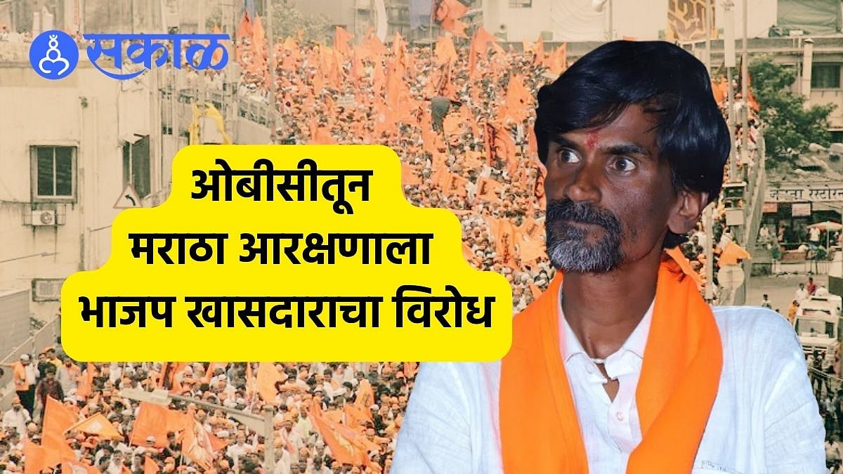 ओबीसीतून मराठा आरक्षण देण्यास भाजप खासदाराचा विरोध; म्हणाले'..तर तेली ...