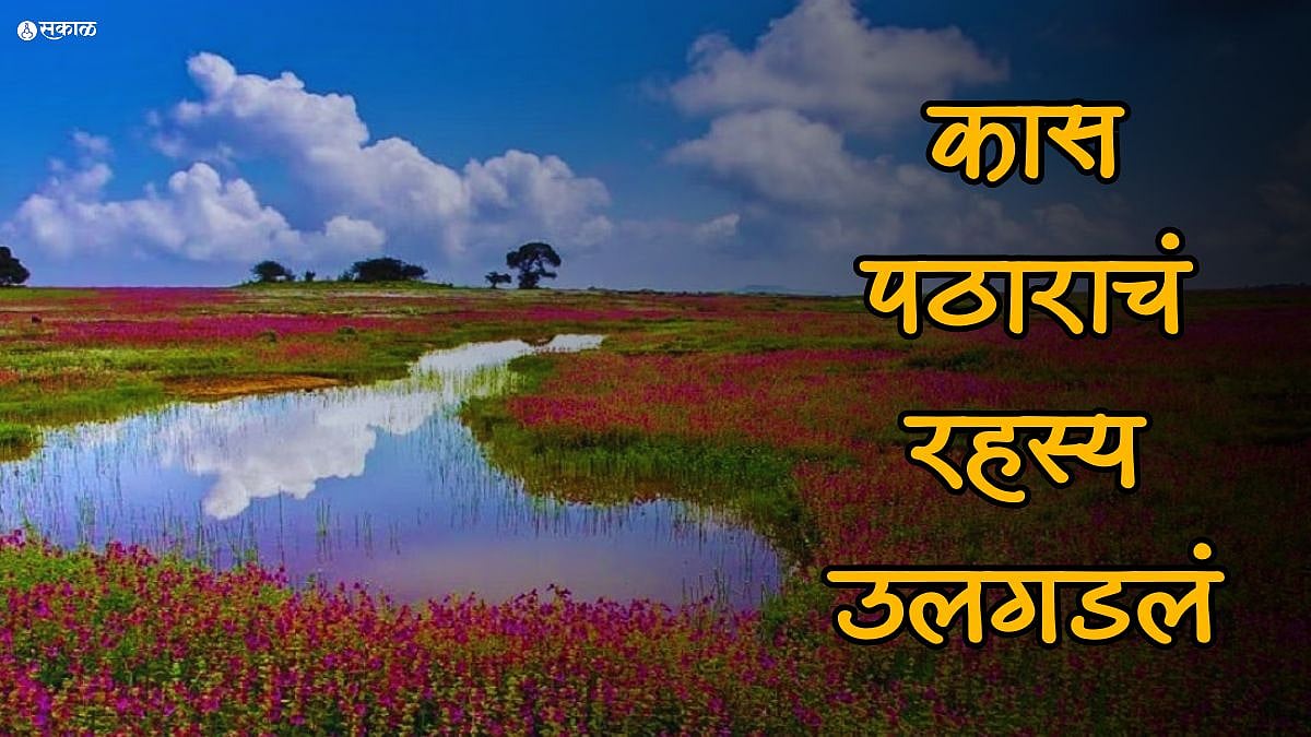 ‘कास’वरील तळ्याच्या हवामानाचे रहस्य उलगडले! सुमारे आठ हजार वर्षांचा ...