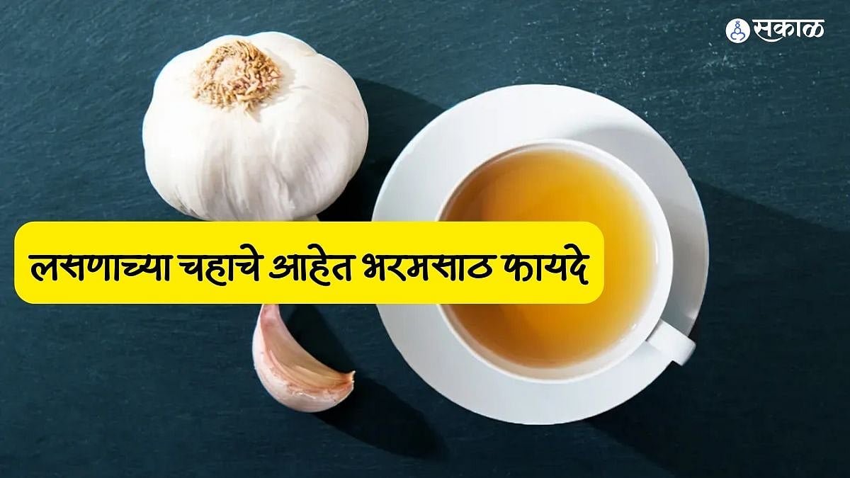 Garlic Tea Benefits: रोगप्रतिकार शक्ती,मधुमेह आणि बरंच काही, लसणाच्या ...