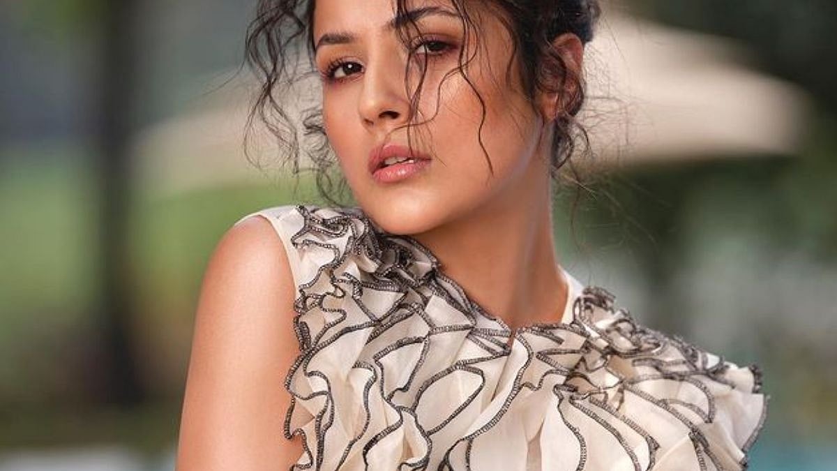 Shehnaj Gill: अंगावर पाकळ्या ! खरं फूल नव्हे तर शहनाजचा तो 'Petle Dress'