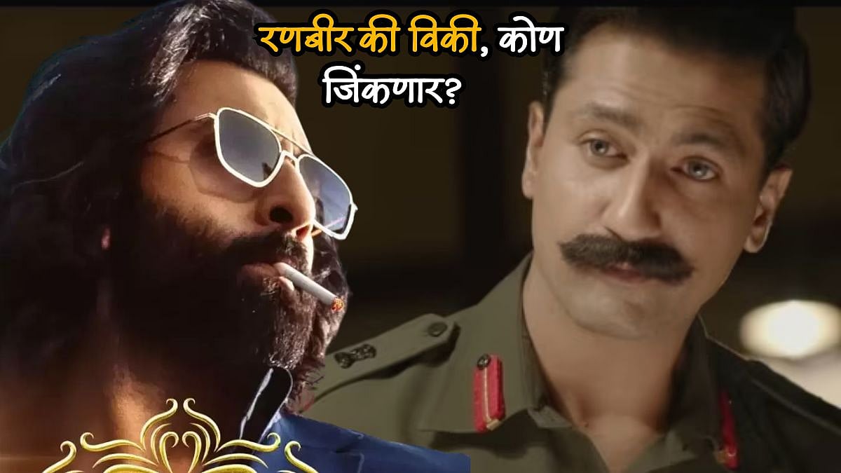 Animal Vs Sam Bahadur: बादशाह कोण? अ‍ॅनिमल की सॅम बहादूर कोणी जिंकला ...