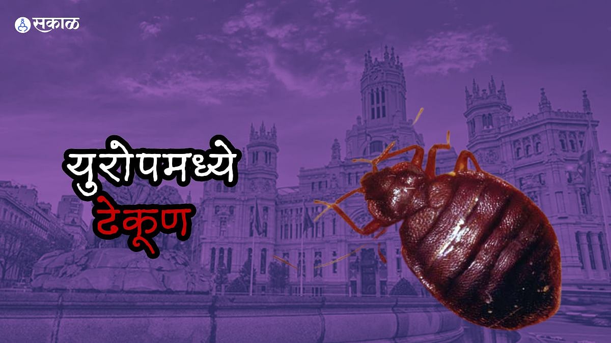 पाश्‍चात्त्य शहरांमधील ढेकूणपीडा, लंडन पॅरिसमध्ये उद्रेक ! varsha ...