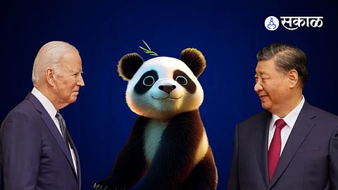 अमेरिका आणि चीनमधील संबंध 'पांडा' सुधारणार; काय आहे जिनपिंग यांची ...
