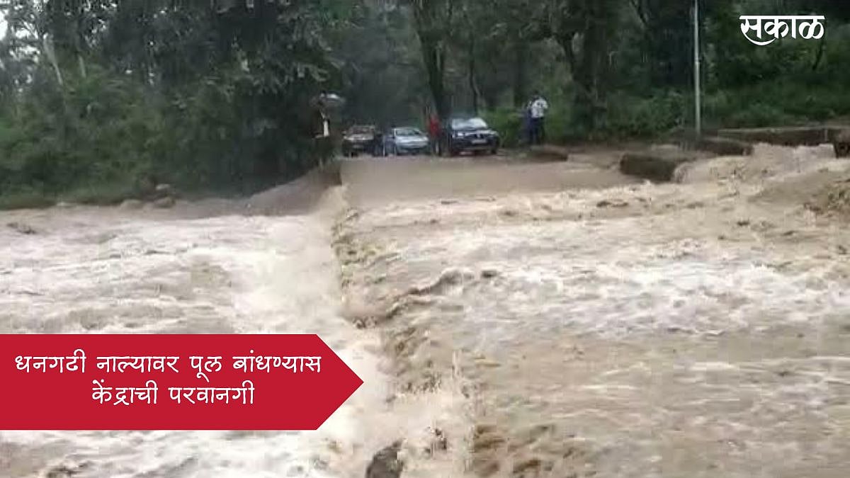 Dhangadi Bridge : अखेर पूल बांधण्यास केंद्राची परवानगी ...