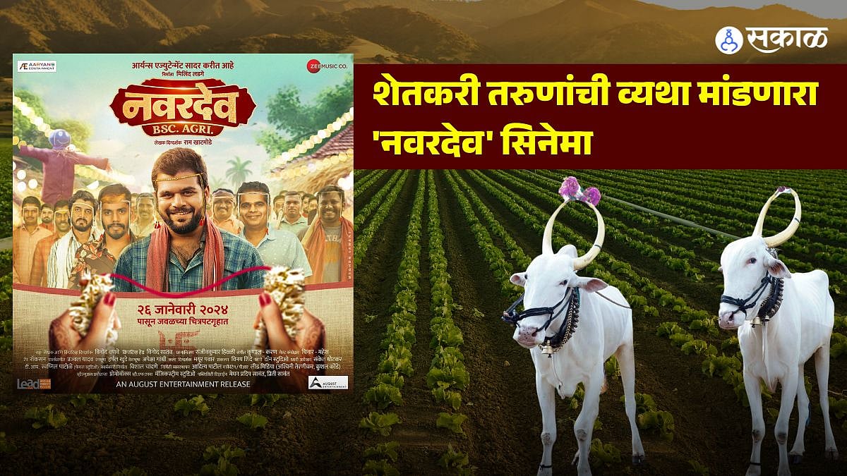 'बकासुर' आणि 'सुंदर' या बैलजोडीकडून 'नवरदेव'चं पोस्टर लॉंच, शेतकरी ...