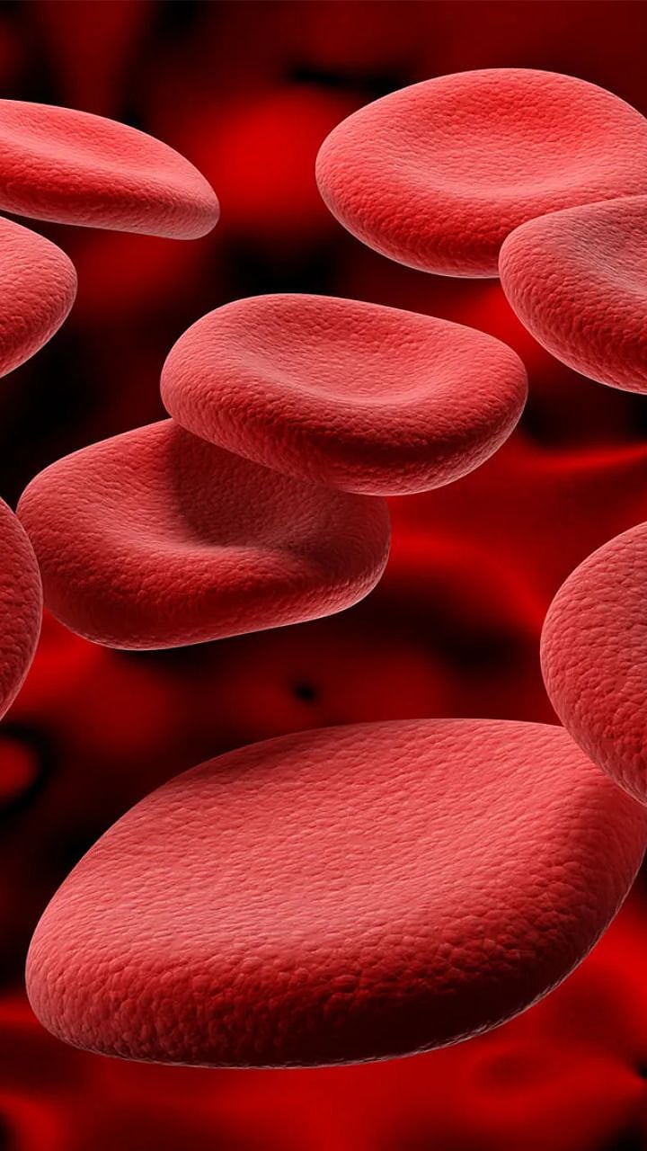 रक्त लाल रंगाचेच का असते? काय आहे वैज्ञानिक कारण? | why blood colour is ...
