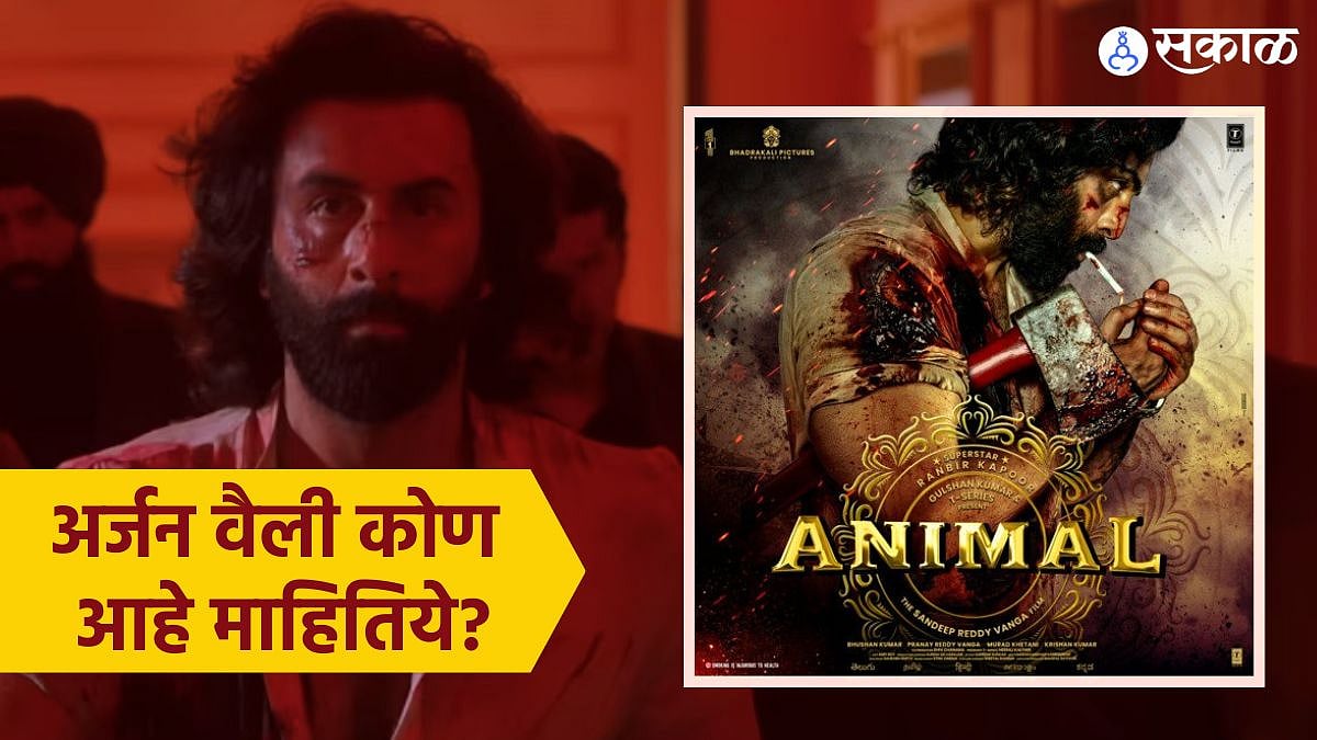 अर्जन वैली आहे तरी कोण? अ‍ॅनिमल मधल्या गाण्याचं पंजाबच्या इतिहासाशी आहे ...