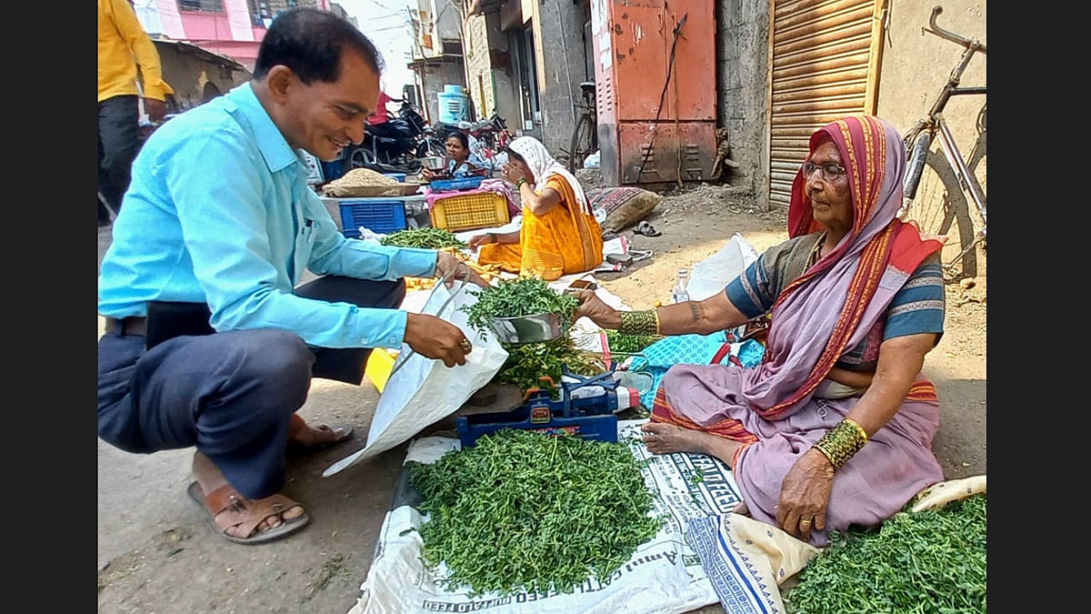 Pandharpur News : हरभऱ्याच्या भाजीला मिळतोय चिकन पेक्षा जास्त भाव ...