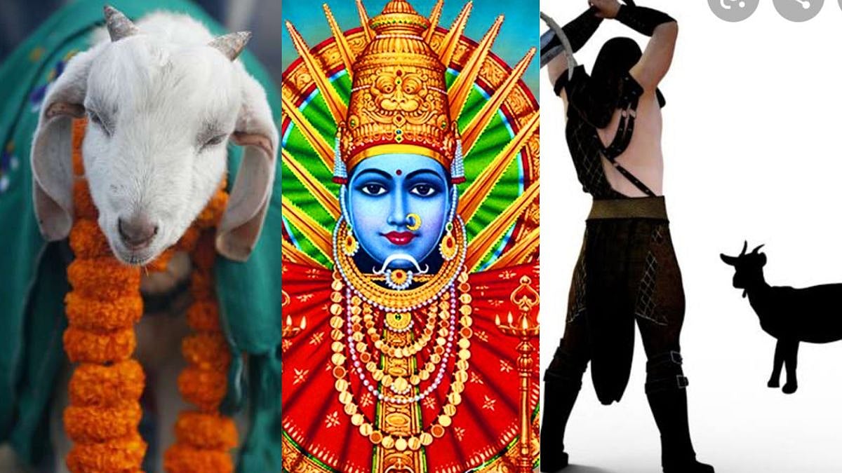 'यल्लमा देवी यात्रेतील प्राणी हत्या रोखा'; नवस फेडण्याच्या बहाण्याने ...