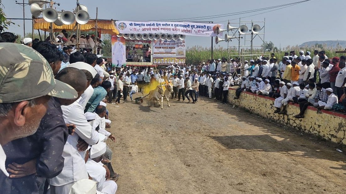 Bailgada Sharyat : बैलगाडा शर्यतीतील सेकंदाचा निर्णय पारदर्शक पद्धतीने ...