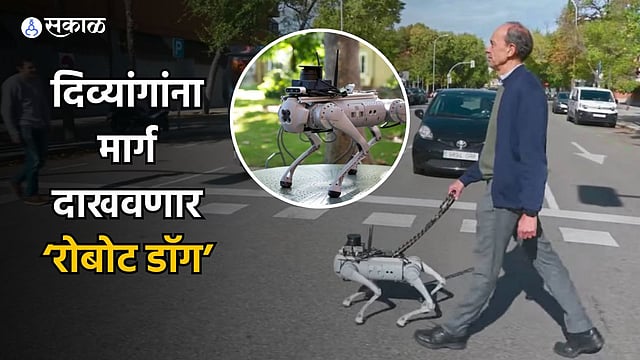 दृष्टीहीन व्यक्तींना मदत करणार 'एआय रोबोट डॉग'; पाहा कसं करतो काम ...