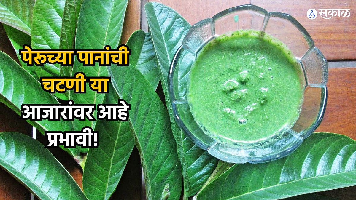 Guava Leaf Chatani : केवळ टेस्टी नाही तर हेल्दीही आहे पेरूच्या पानांची ...
