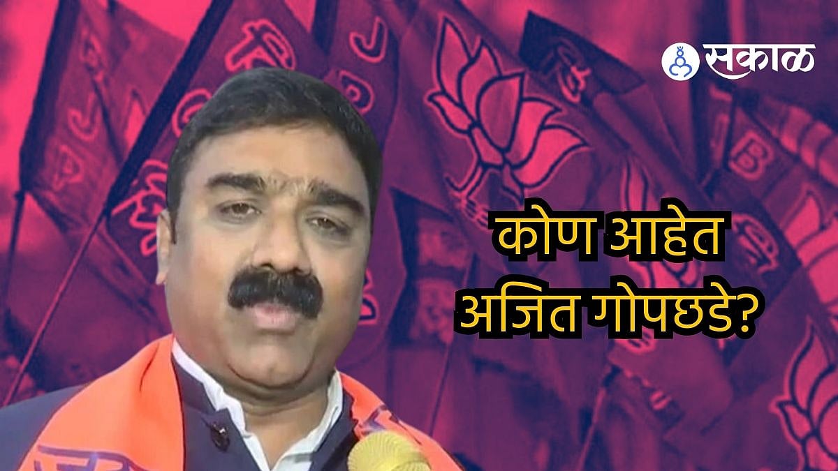 भाजपने राज्यसभेसाठी उमेदवारी दिलेले अजित गोपछडे कोण आहेत? संधी ...
