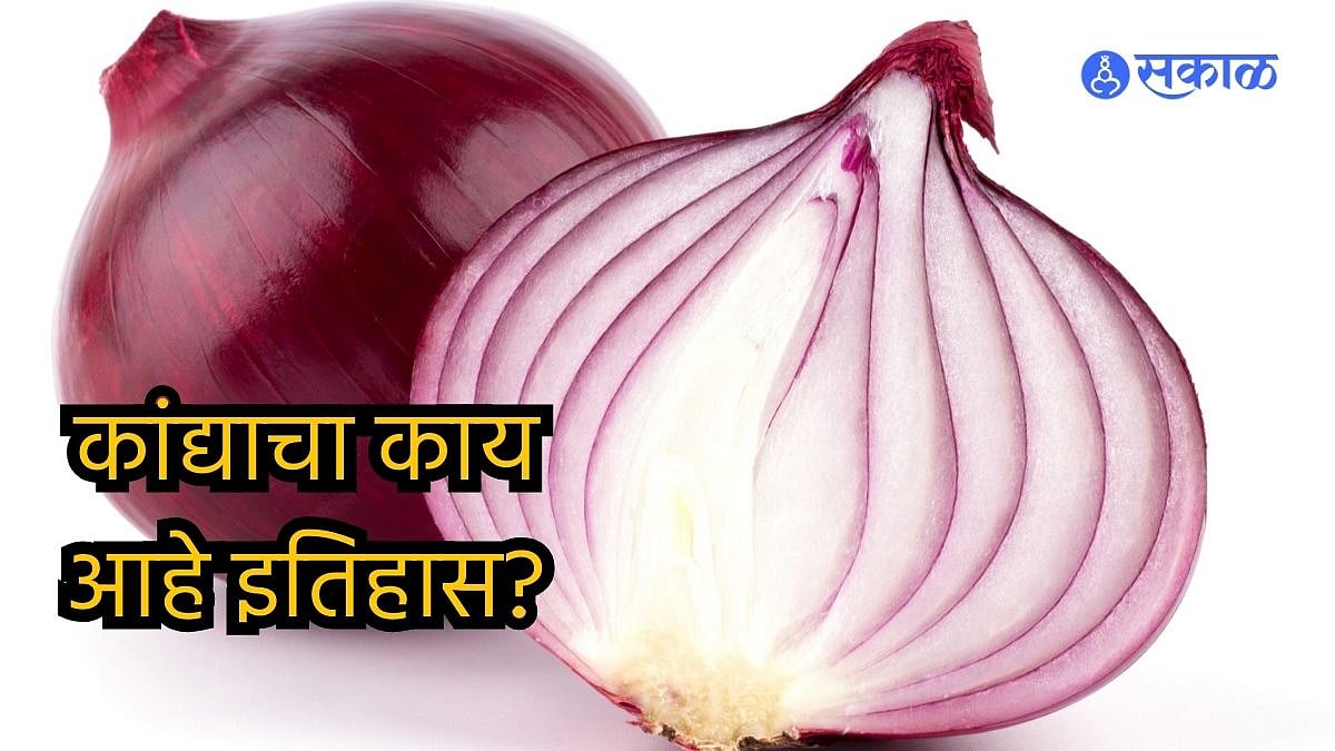 Onion History: भल्याभल्यांना रडवणारा कांदा नेमका आला कुठून? 5 हजार ...