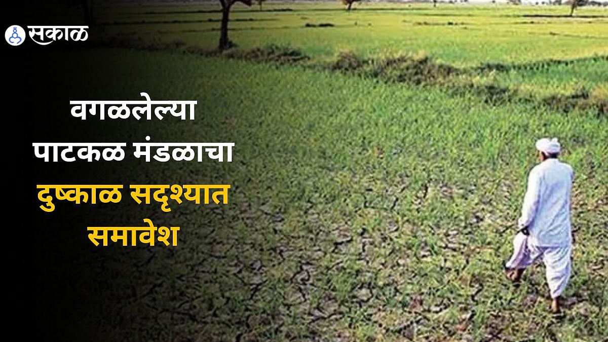 Solapur : वगळलेल्या पाटकळ मंडळाचा दुष्काळ सदृश्यात समावेश ; मंगळवेढा ...