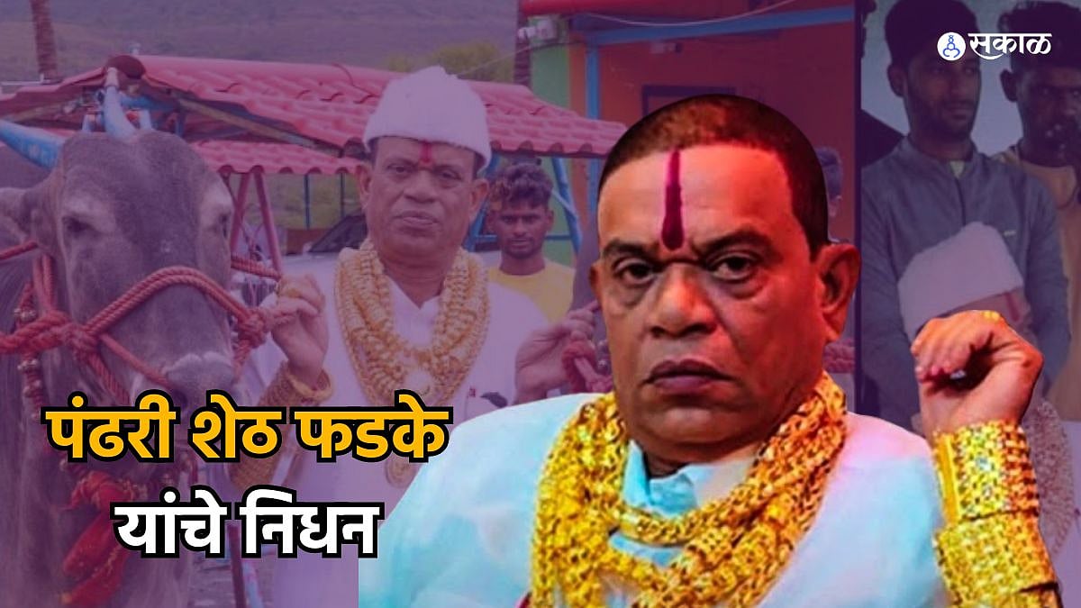 Pandhari Sheth Phadke : बैलगाडा प्रेमी गोल्डमॅन पंढरी शेठ फडके यांचे ...