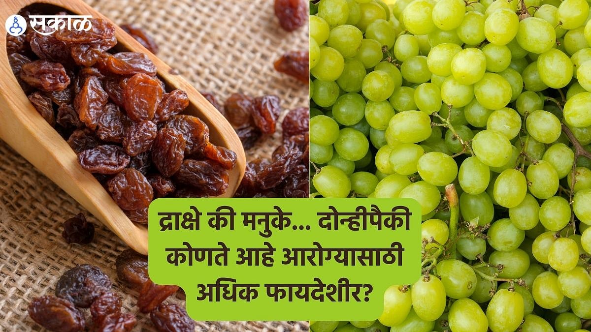 Grapes Vs Raisins : द्राक्षे की मनुके.. दोन्हीपैकी कोणते आहे ...