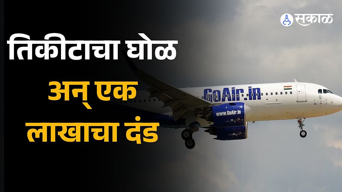 GoAir: तिकीटाचा घोळ अन् एक लाखाचा दंड; गुजराती प्रवाशाने शिकवला विमान ...