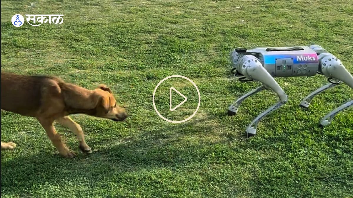 'रोबोट डॉग'ला पाहून खऱ्या कुत्र्यांची मजेशीर प्रतिक्रिया; कानपूरमधील ...