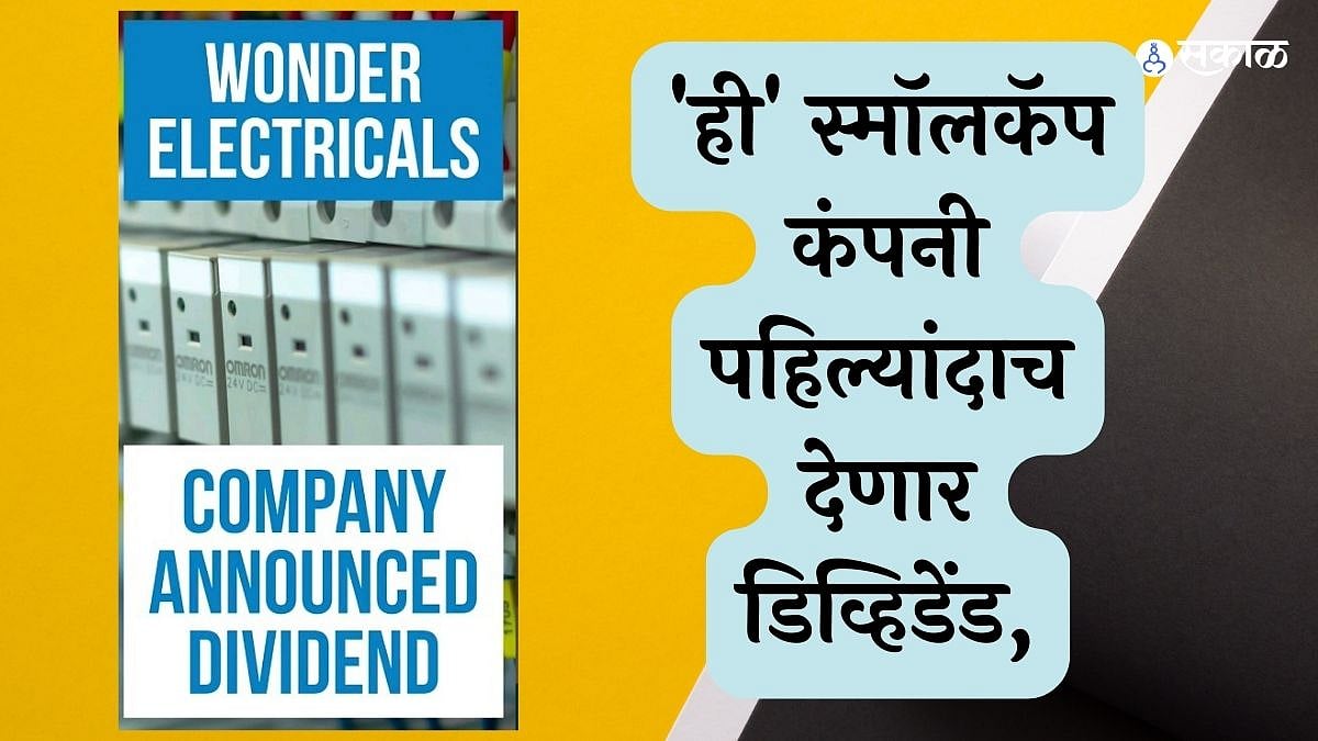 Wonder Electricals Ltd : 'ही' स्मॉलकॅप कंपनी पहिल्यांदाच देणार ...
