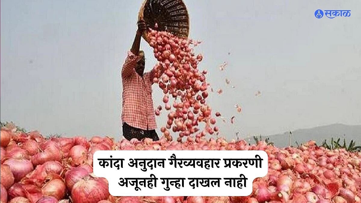 Shrigonda : अधिकाऱ्यांना क्लीनचिट? कांदा अनुदान गैरव्यवहार, अजूनही ...