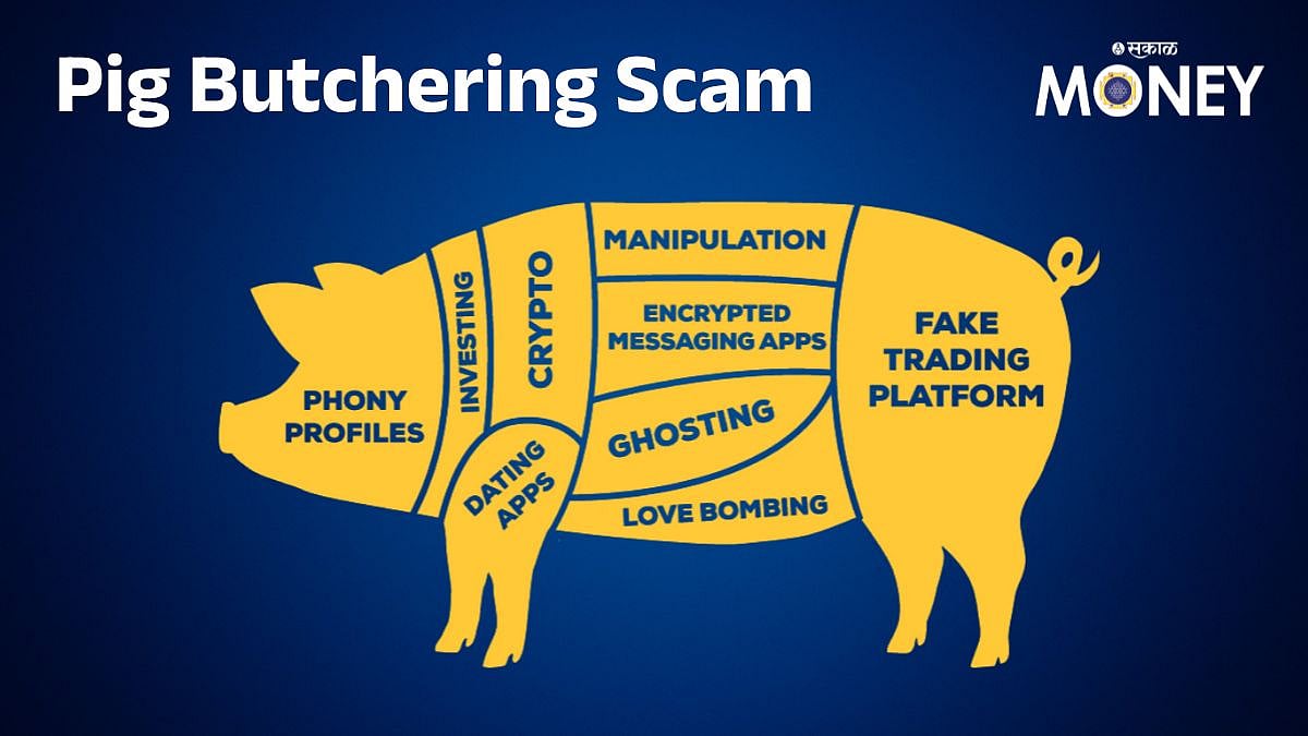 Pig Butchering Scam: ‘पिग बुचरिंग’ फसवणुकीचे नवे तंत्र; शेअर बाजारातील गुंतवणूकदारांनी कोणती ...