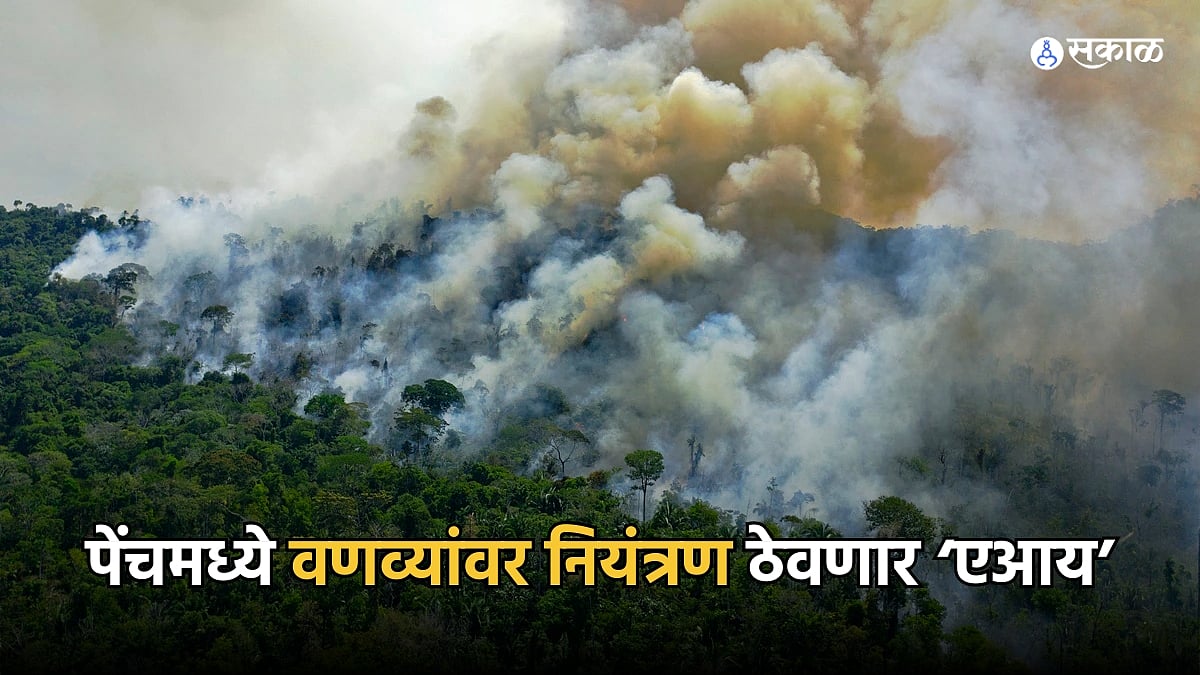 अमेझॉनच्या जंगलात वापरली जाणारी 'फायर डिटेक्शन सिस्टीम' आता पेंचमध्ये ...