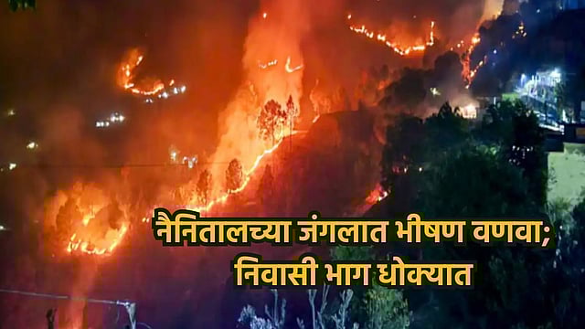 Nainital Forest fire: नैनितालच्या जंगलात भीषण वणवा; निवासी भाग धोक्यात ...