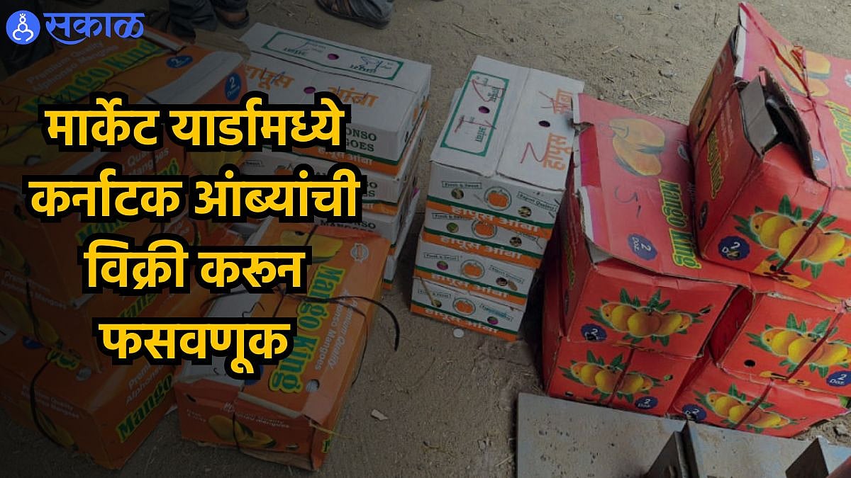 Mango fraud : ‘तो’ कोकणातील हापूस ‘इल्ला’ ; मार्केट यार्डामध्ये कर्नाटक ...