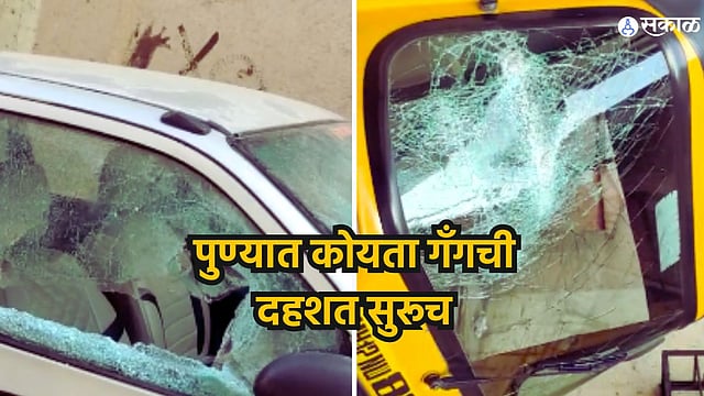 Pune Koyta Gang: पुण्यात कोयता गँगची दहशत सुरूच; बिबवेवाडी परिसरात 5 ...