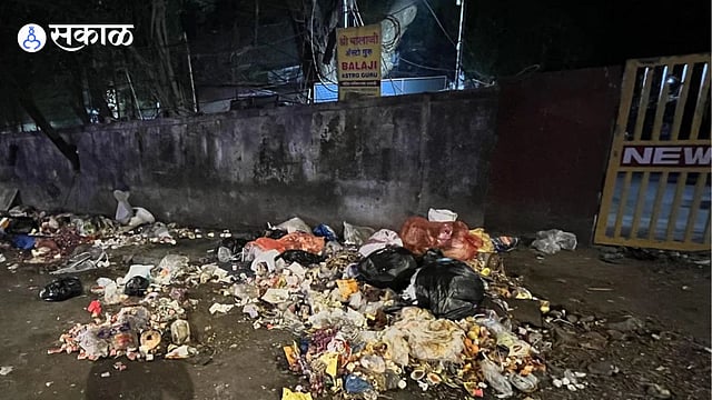 हिंगणा एमआयडीसी म्हणजे अस्वच्छतेचे माहेरघरच; हजारोंना दिला रोजगार पण ...