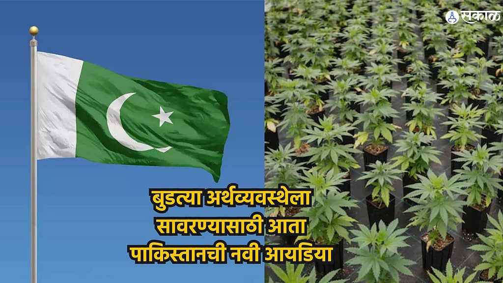 Pakistan: बुडत्या अर्थव्यवस्थेला सावरण्यासाठी आता पाकिस्तानची नवी ...