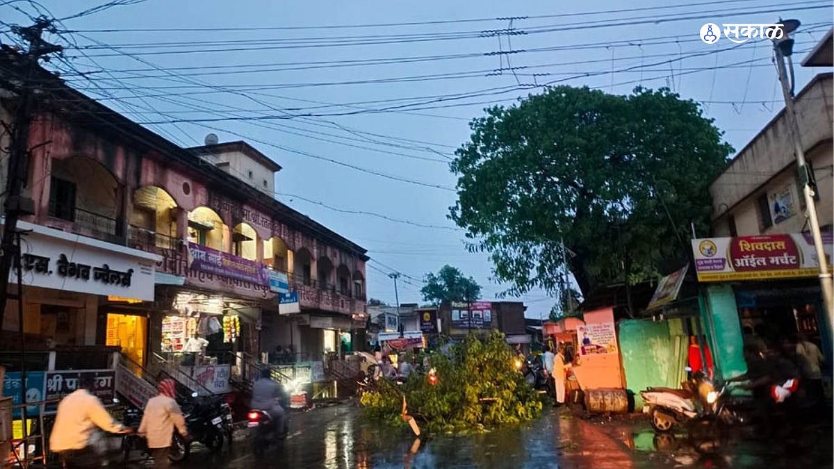 Solapur Rain News : पहिल्याच पावसात झाडे पडल्याने नुकसान