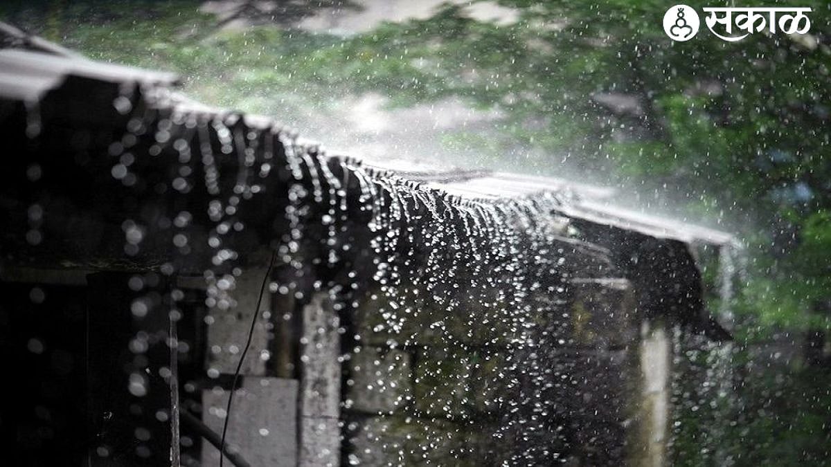 Jalgaon Unseasonal Rain : जिल्ह्यात विजांचा कडकडाटासह पाऊस! तापमानात घट ...