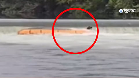 Akole News : बचाव पथकातील SDRF ची बोट उलटली! चार जण बुडाले sdrf boat ...