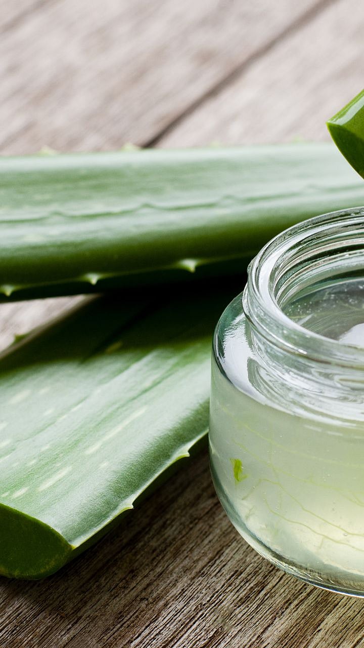 कोरफडमध्ये 'या' गोष्टी मिक्स करू नका these things should not mix with ...