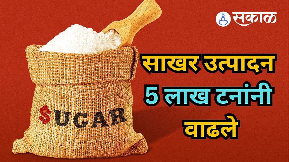 Sugar Factory : साखर उत्पादन वाढले तब्बल पाच लाख टनांनी; उताऱ्यात ...