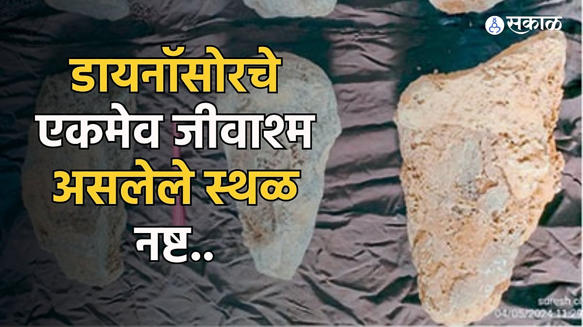 डायनॉसोरचे एकमेव जीवाश्म असलेले स्थळ नष्ट.. जिल्ह्यातील अनेक पुरातत्वीय ...