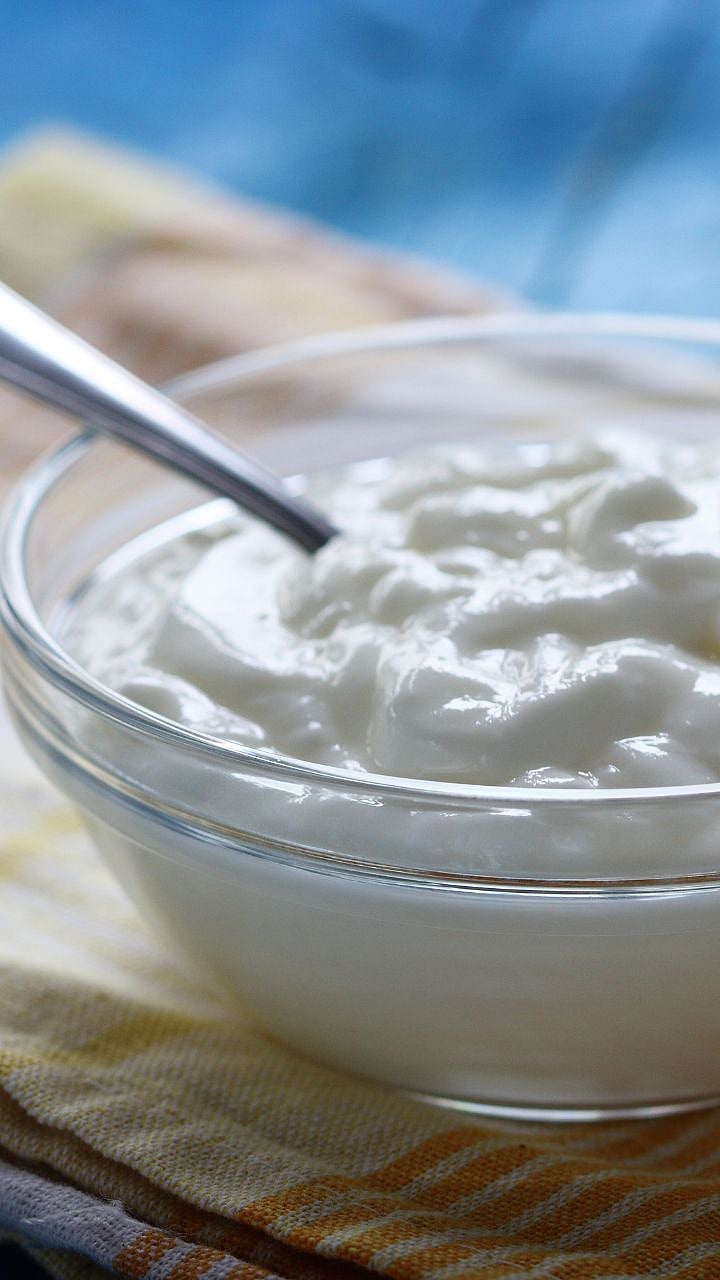 दही घट्ट लागण्यासाठी काय करावे? try these tips to make curd thick read ...